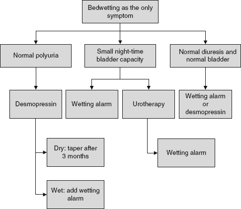 Medical Management of Nocturnal Enuresis | SpringerLink