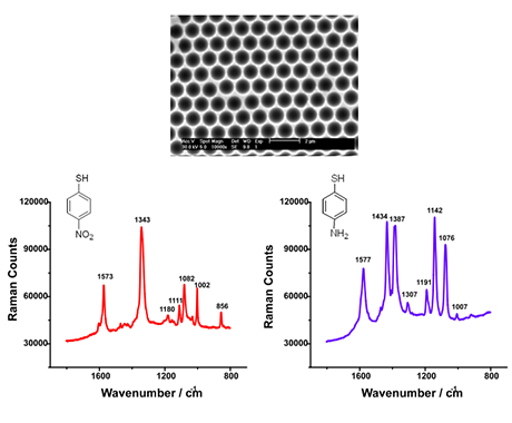 Surface enhanced raman scattering of aromatic thiols adsorbed on ...