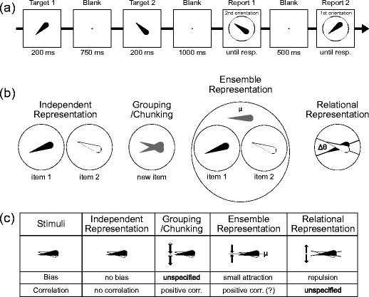 Interactions between visual working memory representations | SpringerLink