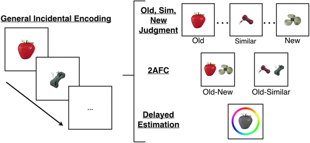 Visual memory, the long and the short of it: A review of visual working ...