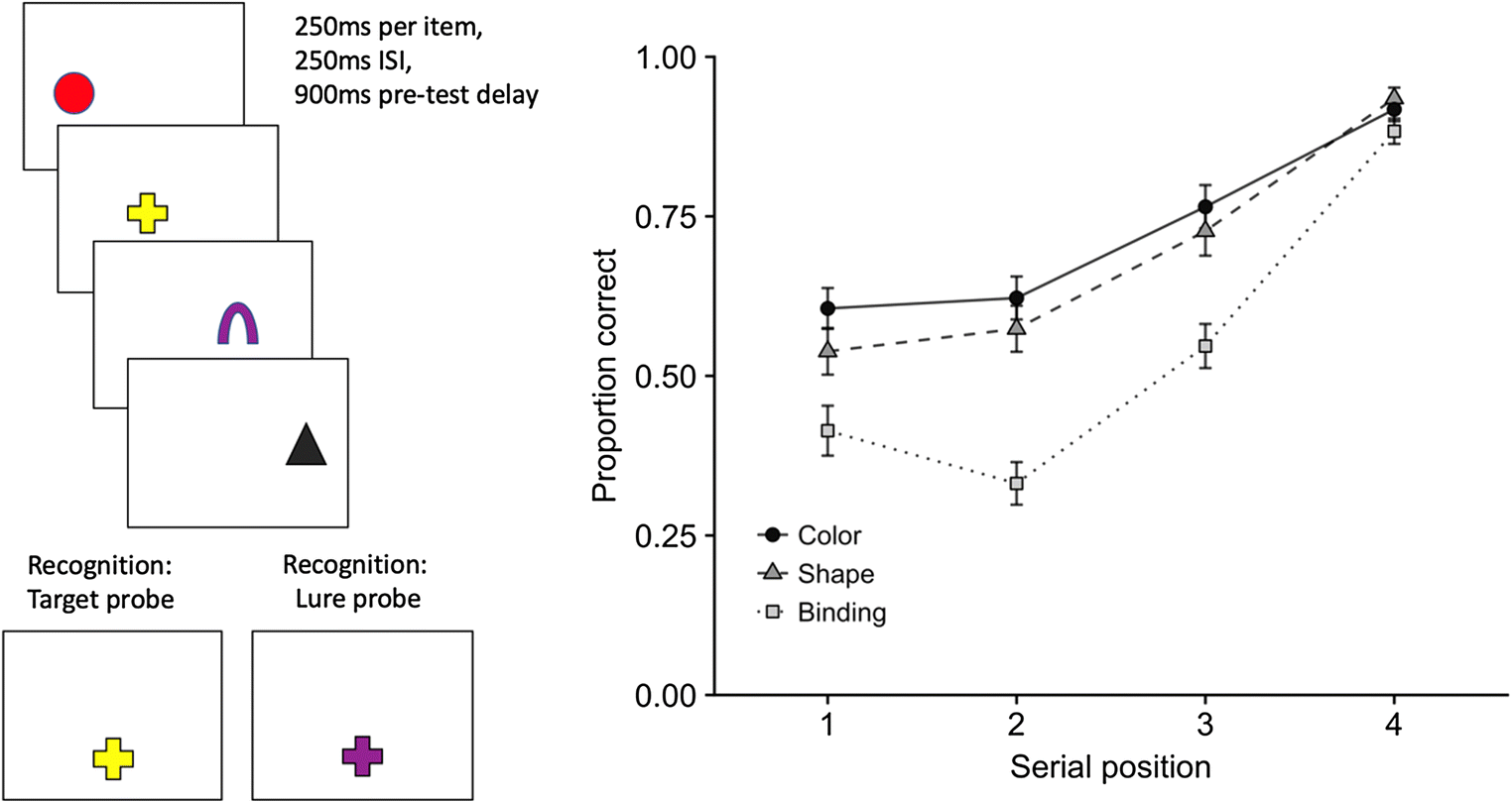 Attention and binding in visual working memory: Two forms of attention and two kinds of buffer ...