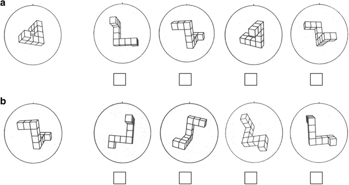Ability and sex differences in spatial thinking: What does the mental ...
