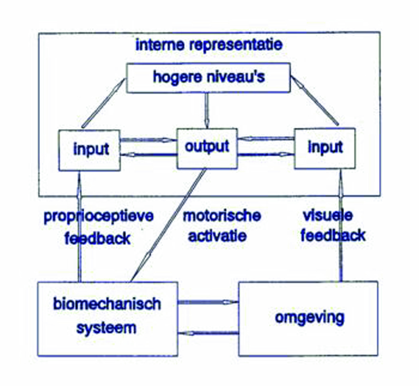 Fysieke groei en sensomotorische ontwikkeling tijdens de groeispurt in ...