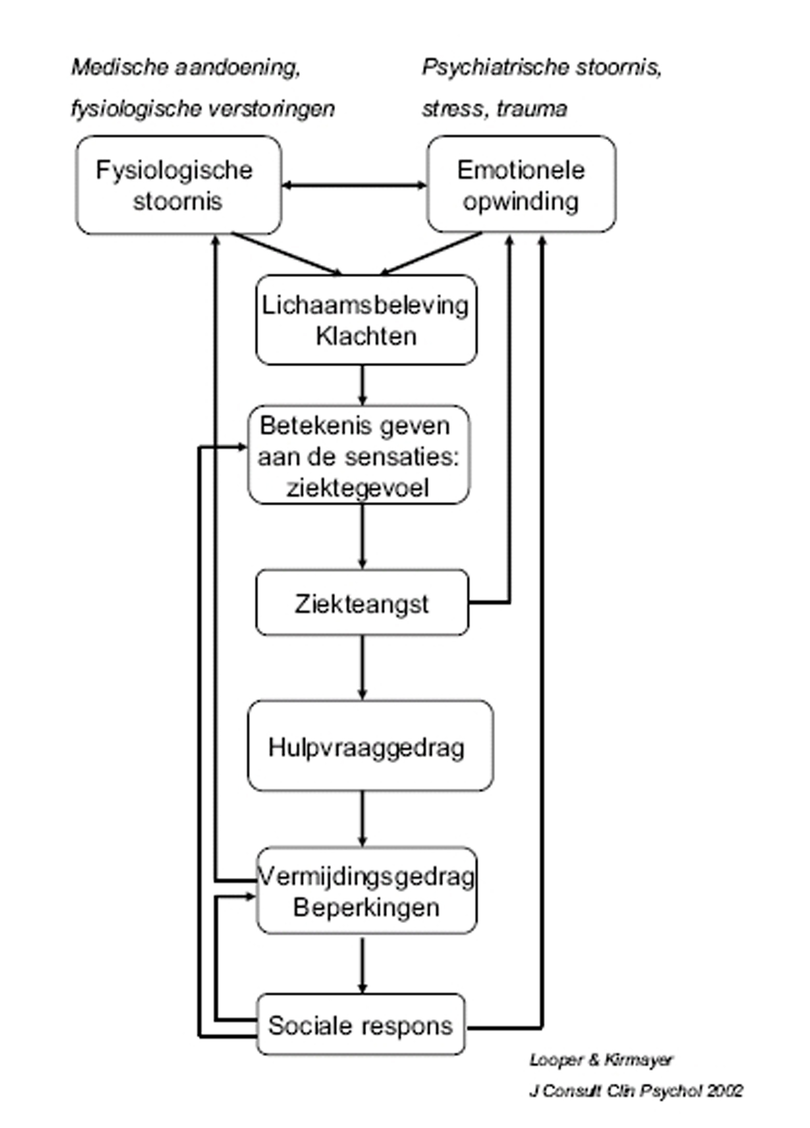 Toepassing van het SCEGS-model in de begeleiding van somatiserende ...