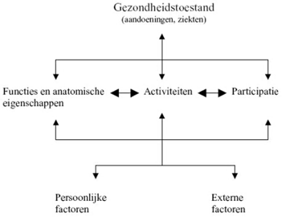 Toepassing van ICF-model als klinisch probleemoplossend gereedschap in ...
