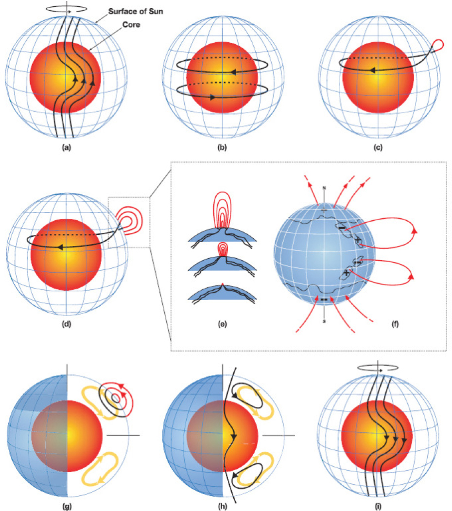 Solar Magnetism in the Polar Regions | SpringerLink