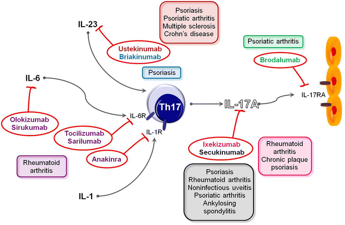 The Role of IL-17 and Th17 Lymphocytes in Autoimmune Diseases ...