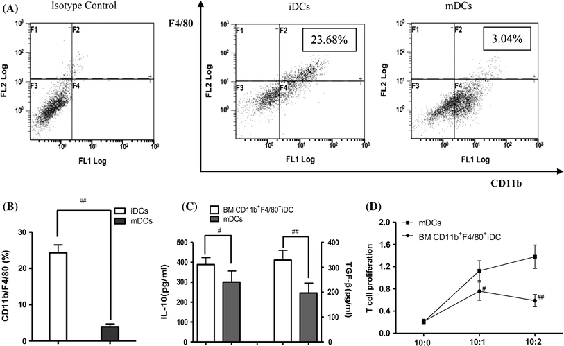 Effect of bone marrow-derived CD11b+F4/80+ immature dendritic cells on ...