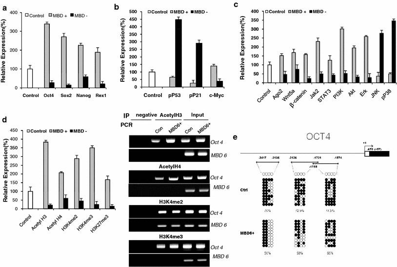MBD6 is a direct target of Oct4 and controls the stemness and ...