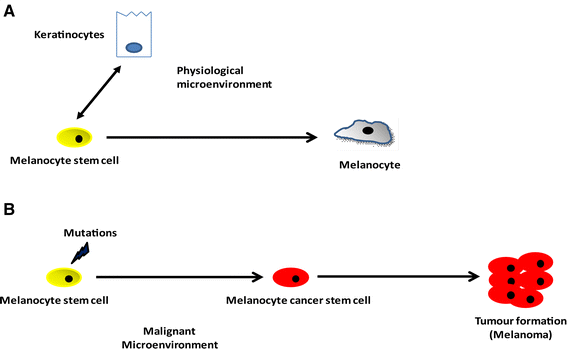 Molecular and cellular pathogenesis of melanoma initiation and ...