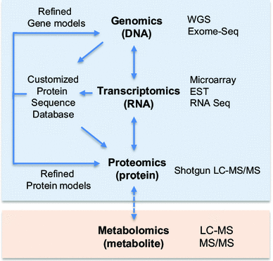 Proteogenomics: emergence and promise | SpringerLink