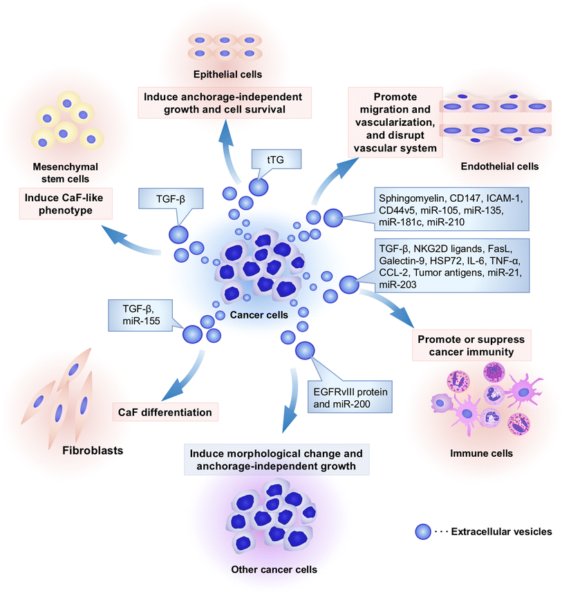 How cancer cells dictate their microenvironment: present roles of ...