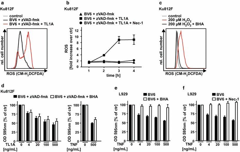 Death receptor 3 mediates necroptotic cell death | SpringerLink