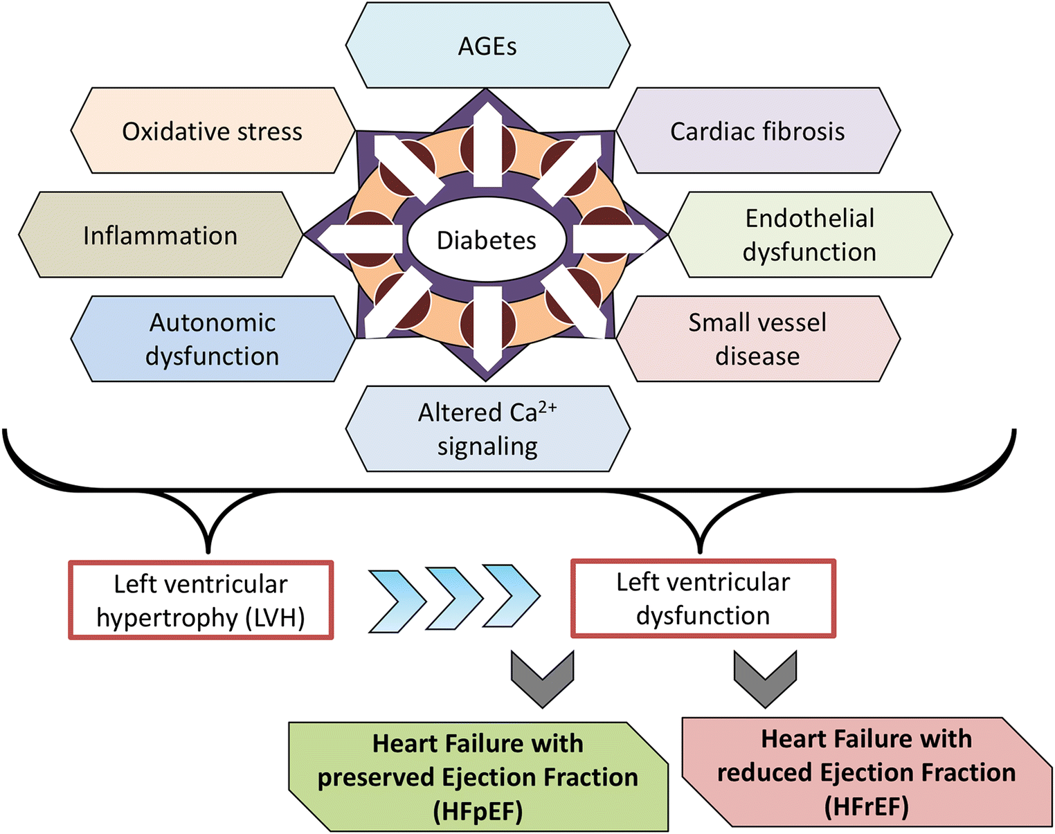 Histones and heart failure in diabetes | SpringerLink