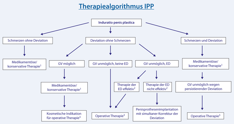 Konservative Therapie der Induratio penis plastica – Update 2015 ...