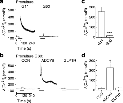 Adenylyl cyclase 8 is central to glucagon-like peptide 1 signalling and ...