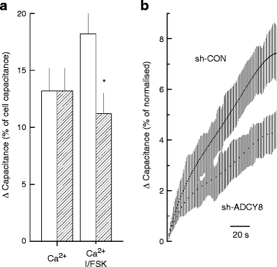Adenylyl cyclase 8 is central to glucagon-like peptide 1 signalling and ...