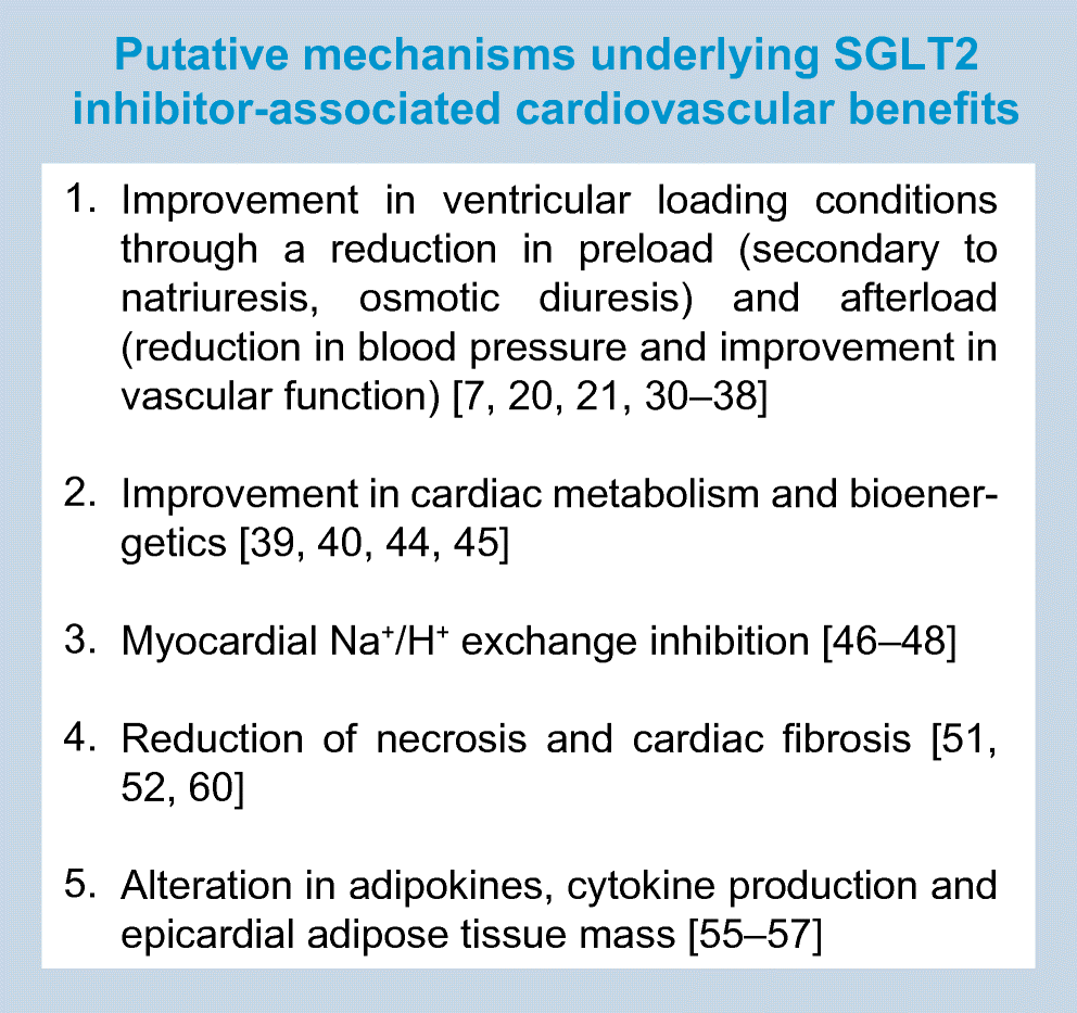 SGLT2 inhibitors and mechanisms of cardiovascular benefit: a state-of-the-art review | SpringerLink