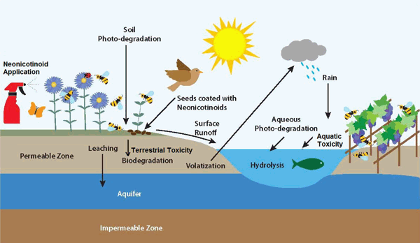 Neonicotinoids: Systemic Insecticides and Systematic Failure | SpringerLink