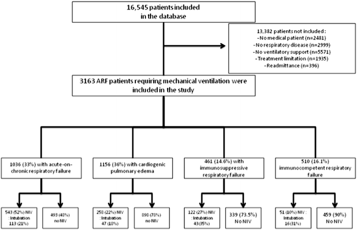 Noninvasive mechanical ventilation in acute respiratory failure: trends ...