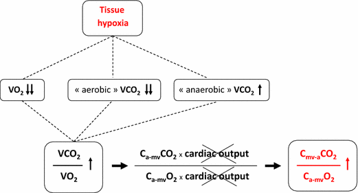 Venous–arterial CO2 to arterial–venous O2 difference ratio as a ...