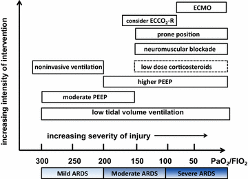 Steroids are part of rescue therapy in ARDS patients with refractory ...