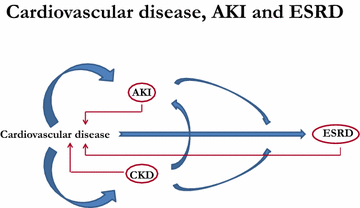 Renal recovery after acute kidney injury | SpringerLink