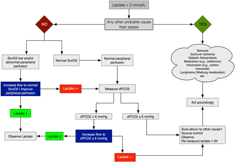 The ten pitfalls of lactate clearance in sepsis | SpringerLink