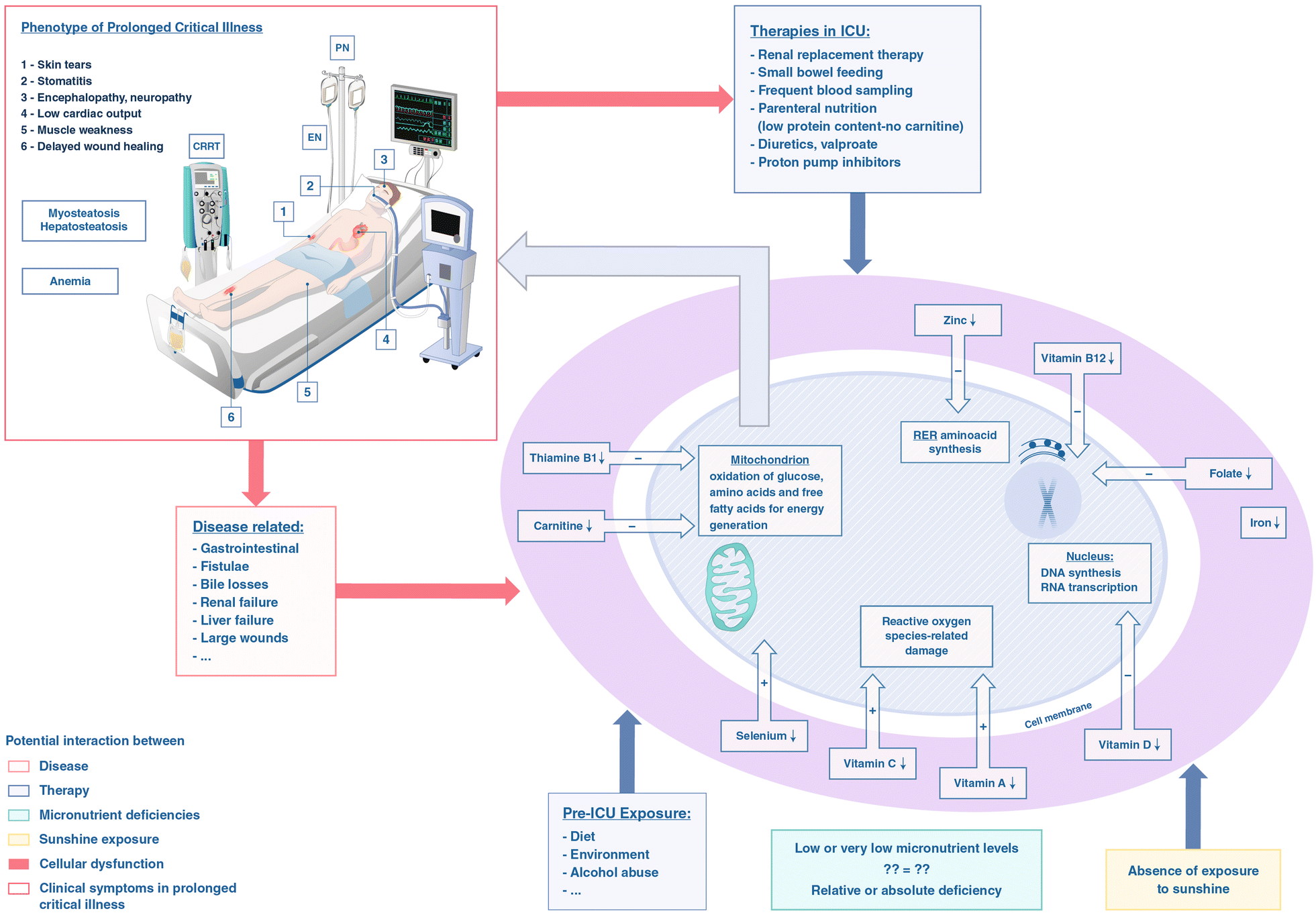 Micronutrient deficiency in critical illness: an invisible foe ...