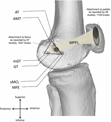 Origin and insertion of the medial patellofemoral ligament: a ...