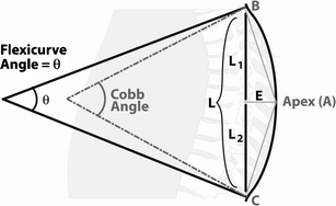 The reliability and validity of three non-radiological measures of ...