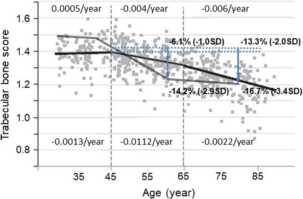 Correction to: Age-related normative values of trabecular bone score ...