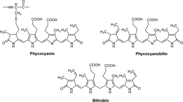 The antioxidant, immunomodulatory, and anti-inflammatory activities of ...