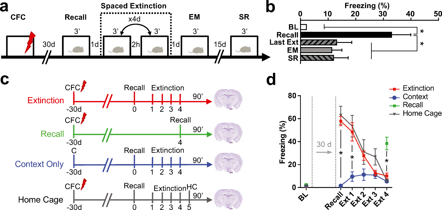 A cFos activation map of remote fear memory attenuation | SpringerLink