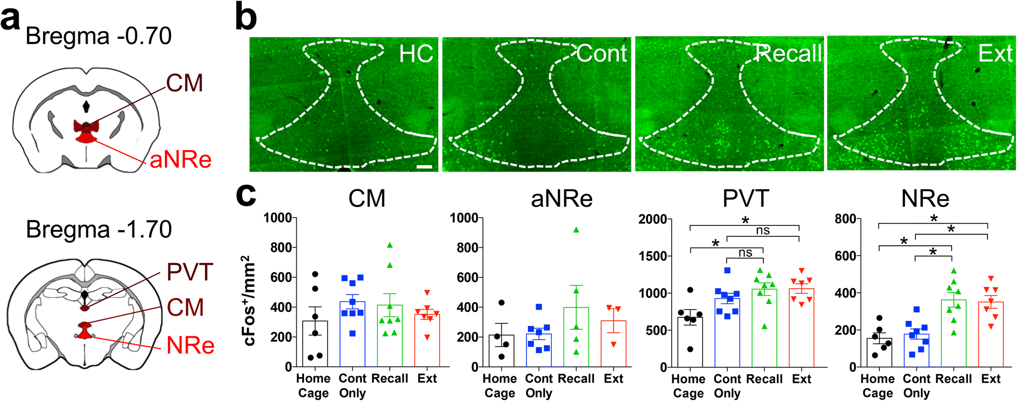 A cFos activation map of remote fear memory attenuation | SpringerLink