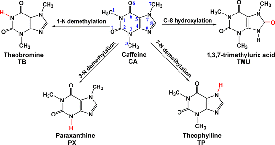 Metabolic mechanisms of caffeine catalyzed by cytochrome P450 isoenzyme ...