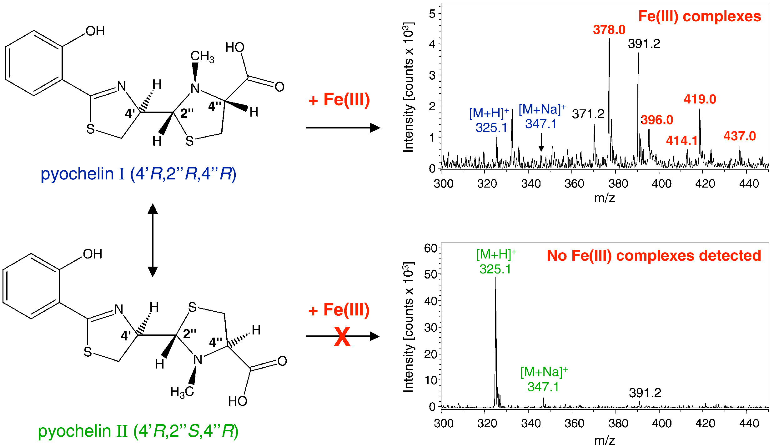 Different iron-chelating properties of pyochelin diastereoisomers ...