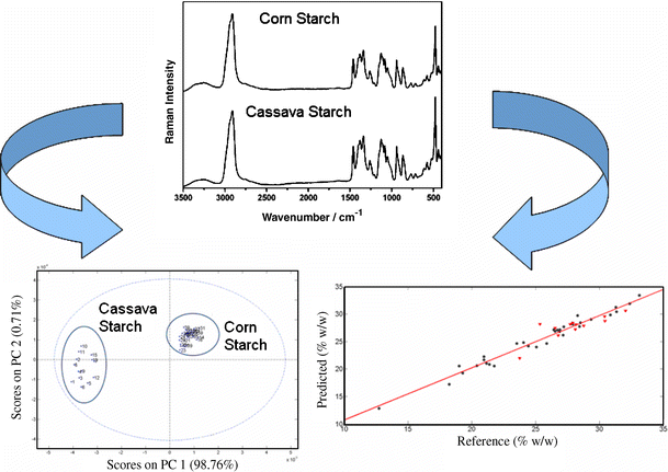 Determination of amylose content in starch using Raman spectroscopy and ...