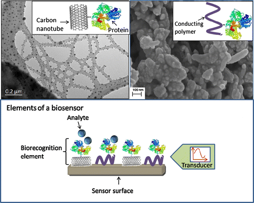 The increasing importance of carbon nanotubes and nanostructured ...