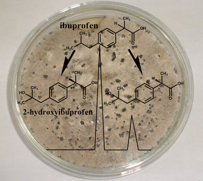 LC–MS–MS determination of ibuprofen, 2-hydroxyibuprofen enantiomers ...
