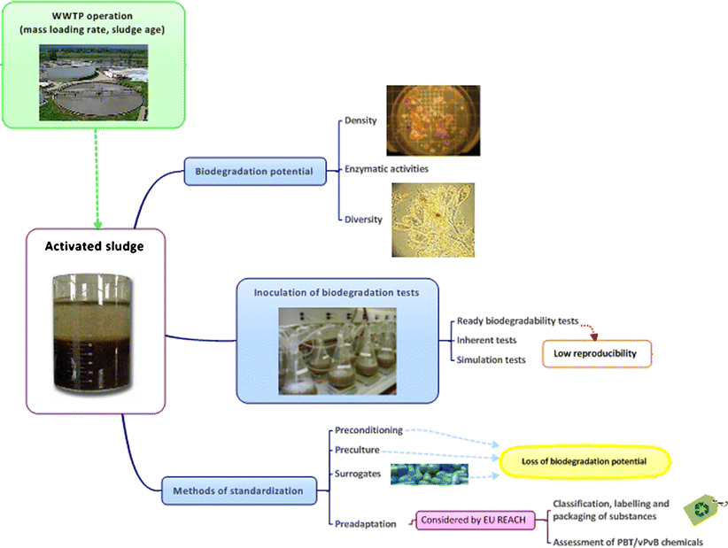 Standardization of activated sludge for biodegradation tests | SpringerLink