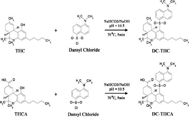 Simultaneous determination of Δ9-tetrahydrocannabinol and 11-nor-9 ...
