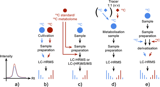 Isotopic labeling-assisted metabolomics using LC–MS | SpringerLink