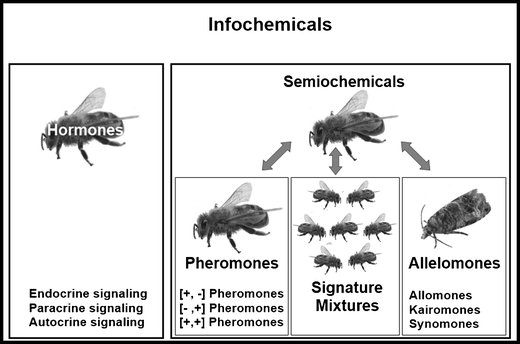 On-site airborne pheromone sensing | SpringerLink