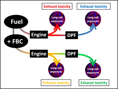 Effects of an iron-based fuel-borne catalyst and a diesel particle ...