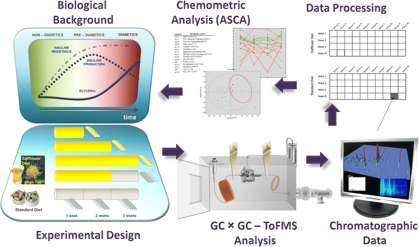 Combining metabolomic non-targeted GC×GC–ToF–MS analysis and ...