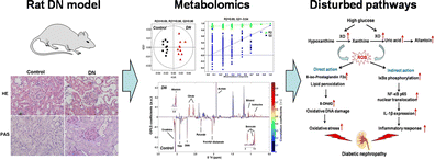 Metabonomics revealed xanthine oxidase-induced oxidative stress and ...