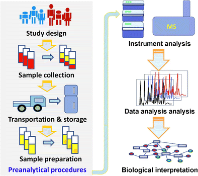 Effects of pre-analytical processes on blood samples used in ...