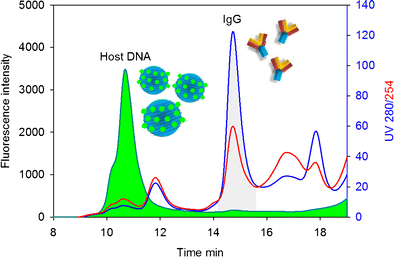 Characterization of DNA in cell culture supernatant by fluorescence-detection size-exclusion ...