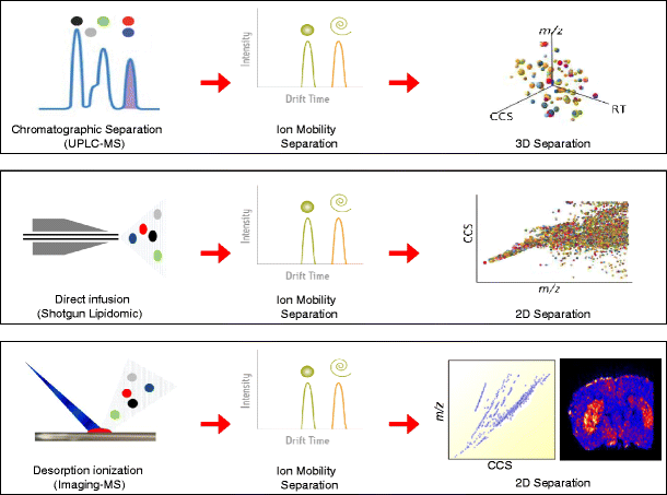 Applications of ion-mobility mass spectrometry for lipid analysis | SpringerLink
